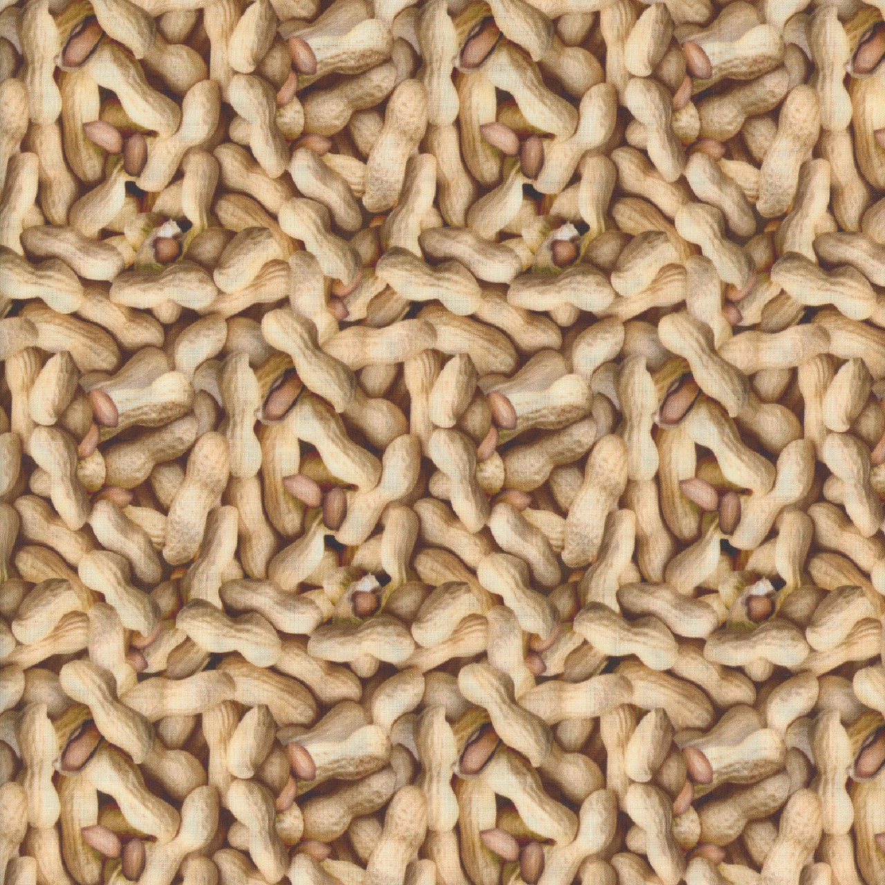 Buy Clothworks Fabrics - The Secret Life of Squirrels II, Peanuts in ...